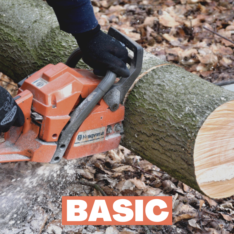 Basic - East Coast Lumberjack